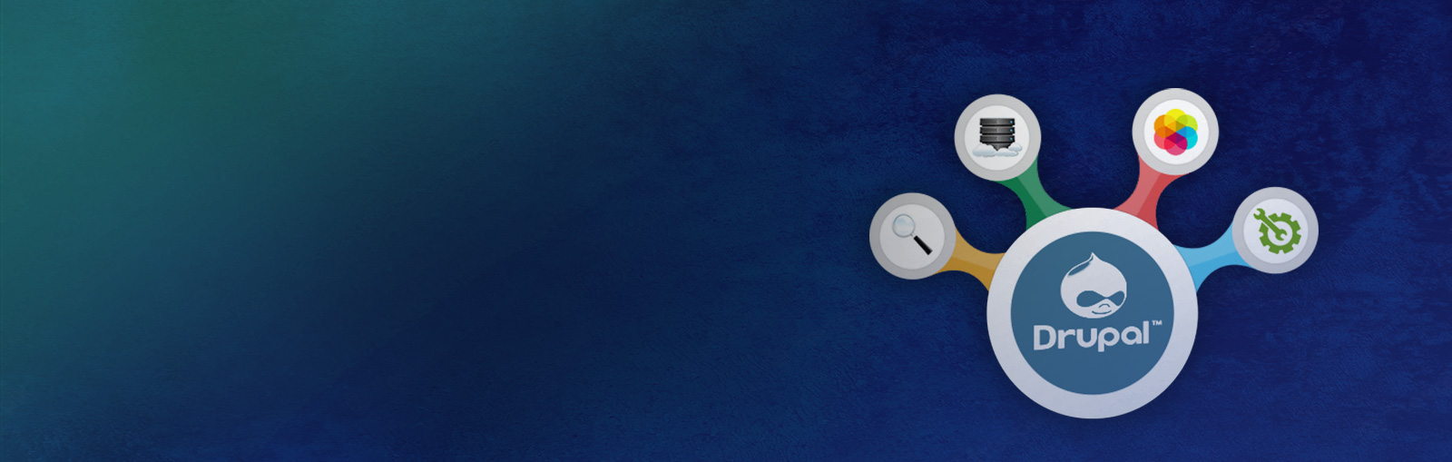 Best Drupal Website Development Agency in India