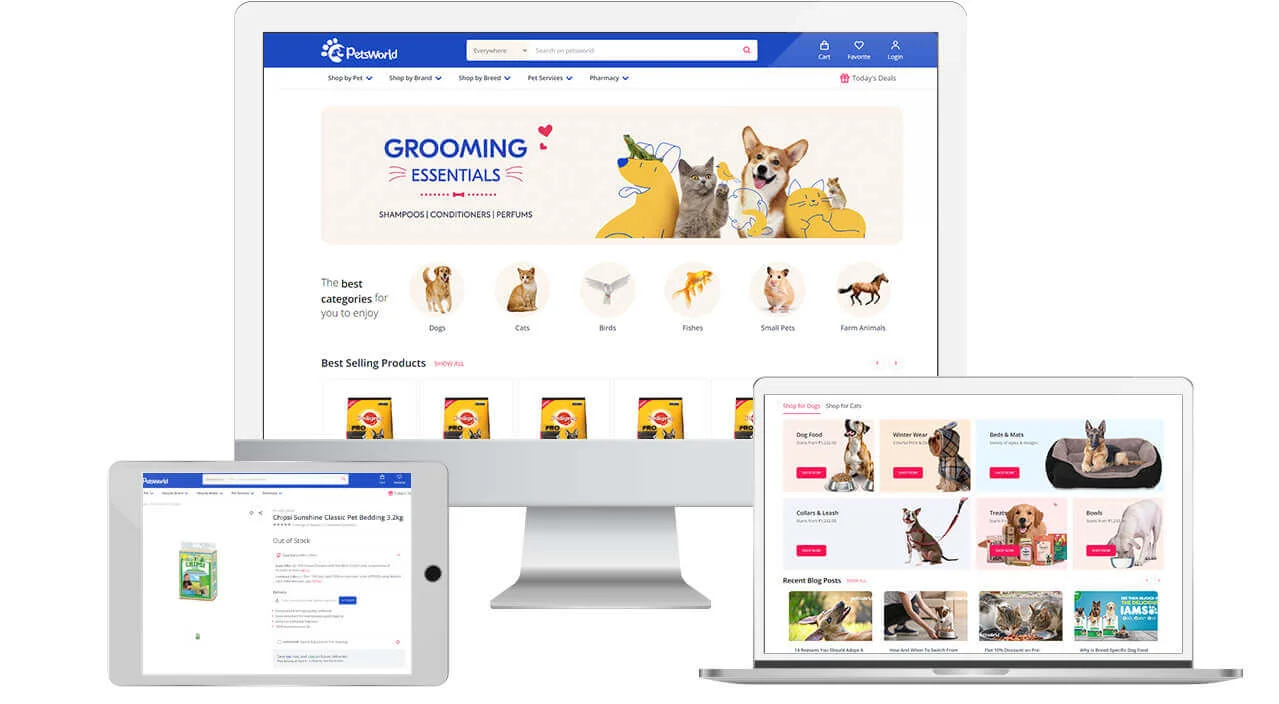 TIS - Best Website Design and Development Company in India