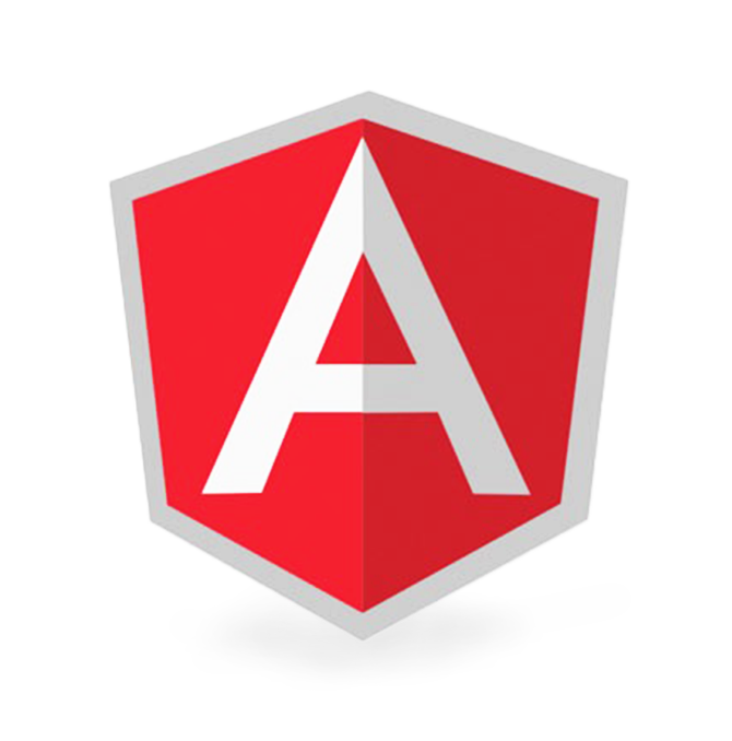 Best AngularJS Web Development Agency in India